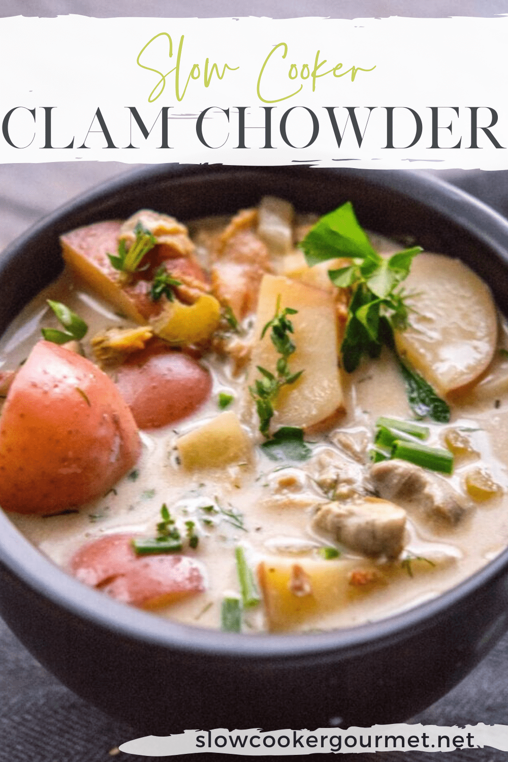 Slow Cooker Clam Chowder - Slow Cooker Gourmet