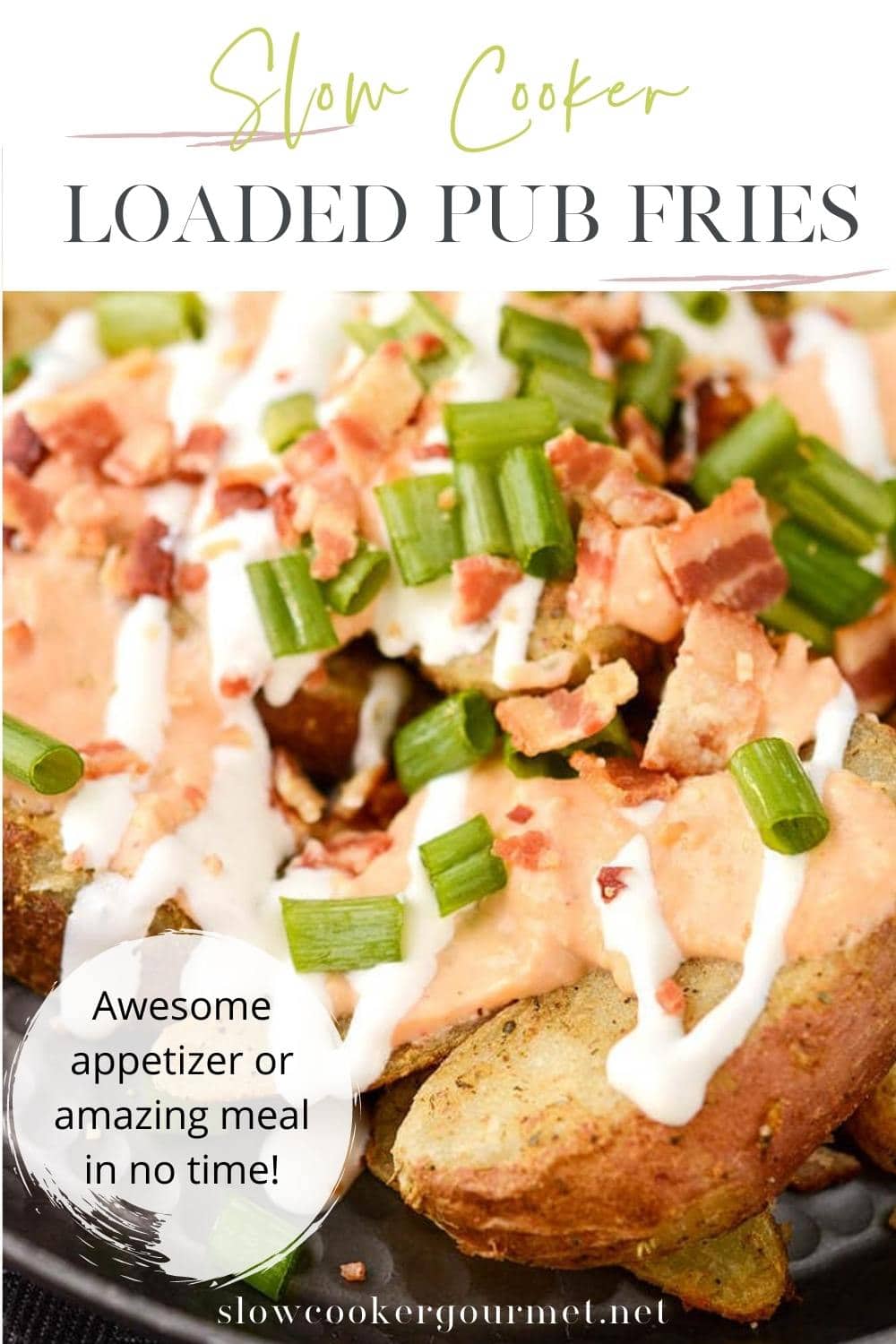 Slow Cooker Loaded Pub Fries - Slow Cooker Gourmet