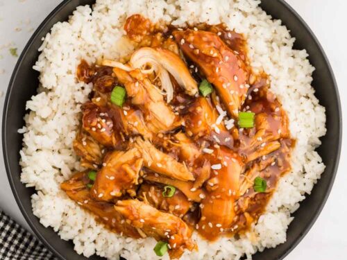 Slow Cooker Teriyaki Chicken